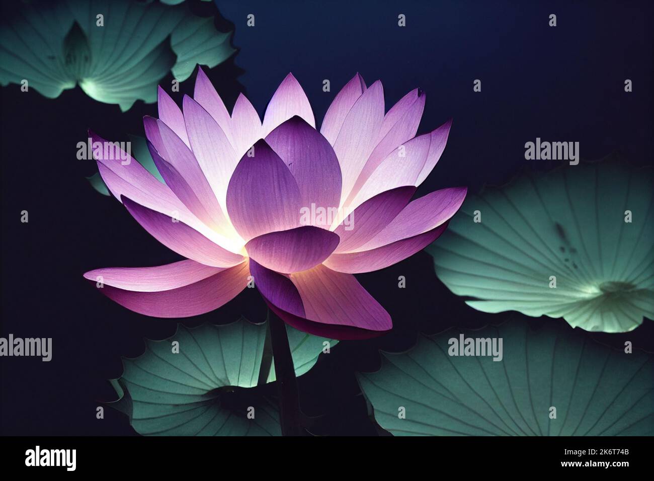 Close up illustration of a beautiful well lit lotus flower standing out ...