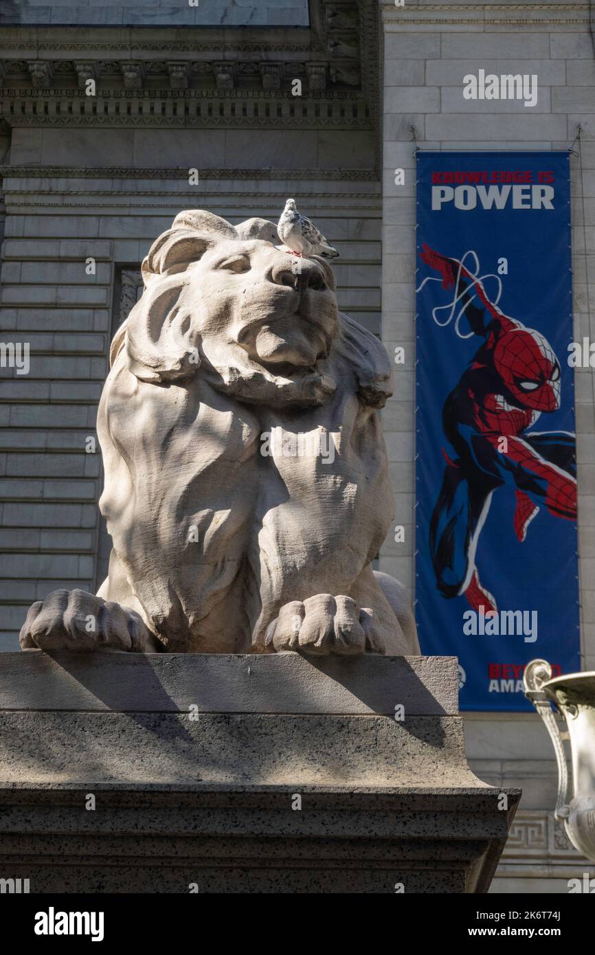 The New York Public Library is promoting reading with the superhero ...