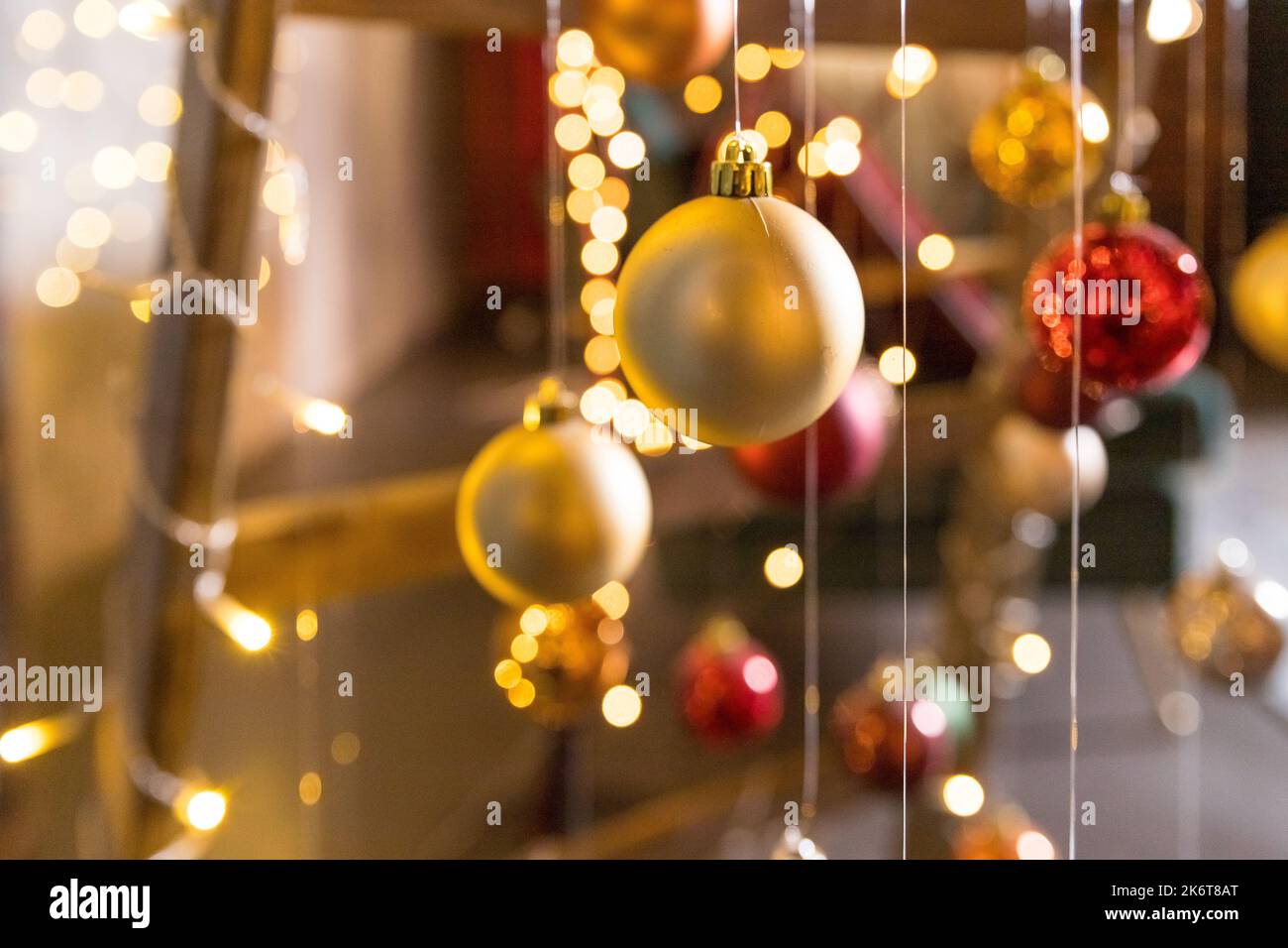 Light installation hang on tree hi-res stock photography and images - Alamy