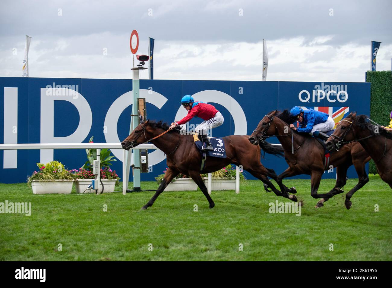 James wigan and ballylinch stud hi-res stock photography and images - Alamy