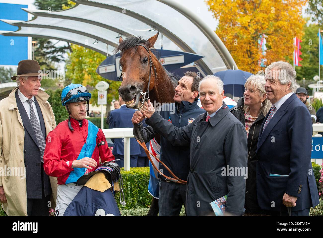 James wigan and ballylinch stud hi-res stock photography and images - Alamy