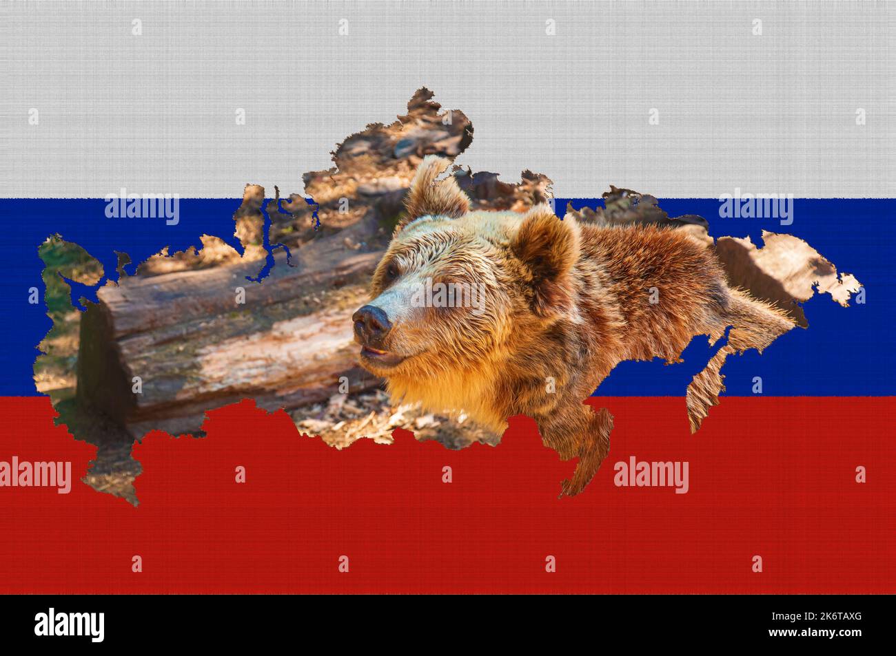 Outline map of Russia on the flag of the country. Common brown European ...