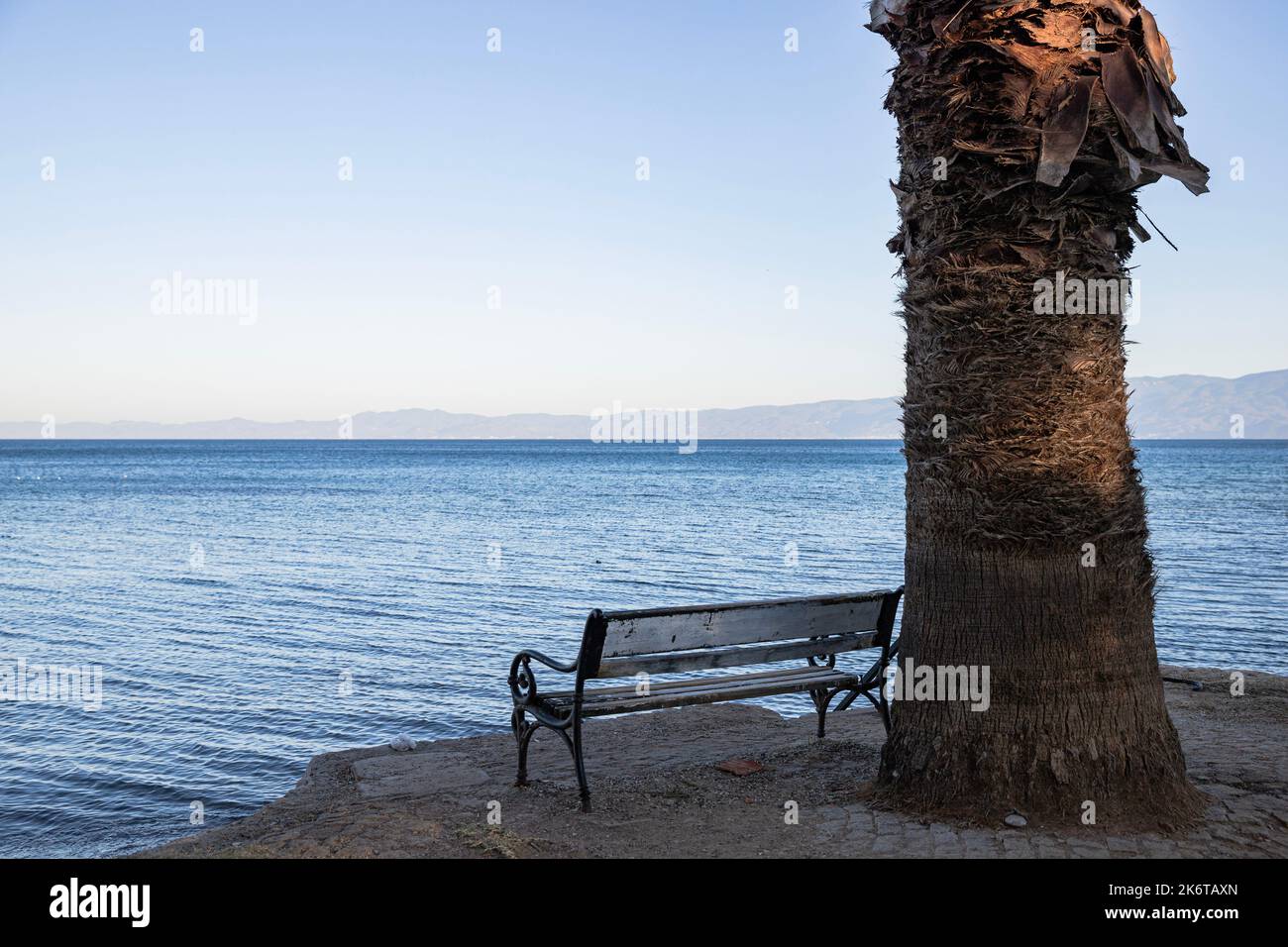 Old empty bench stands on beach with palm tree , beautiful landscape ...