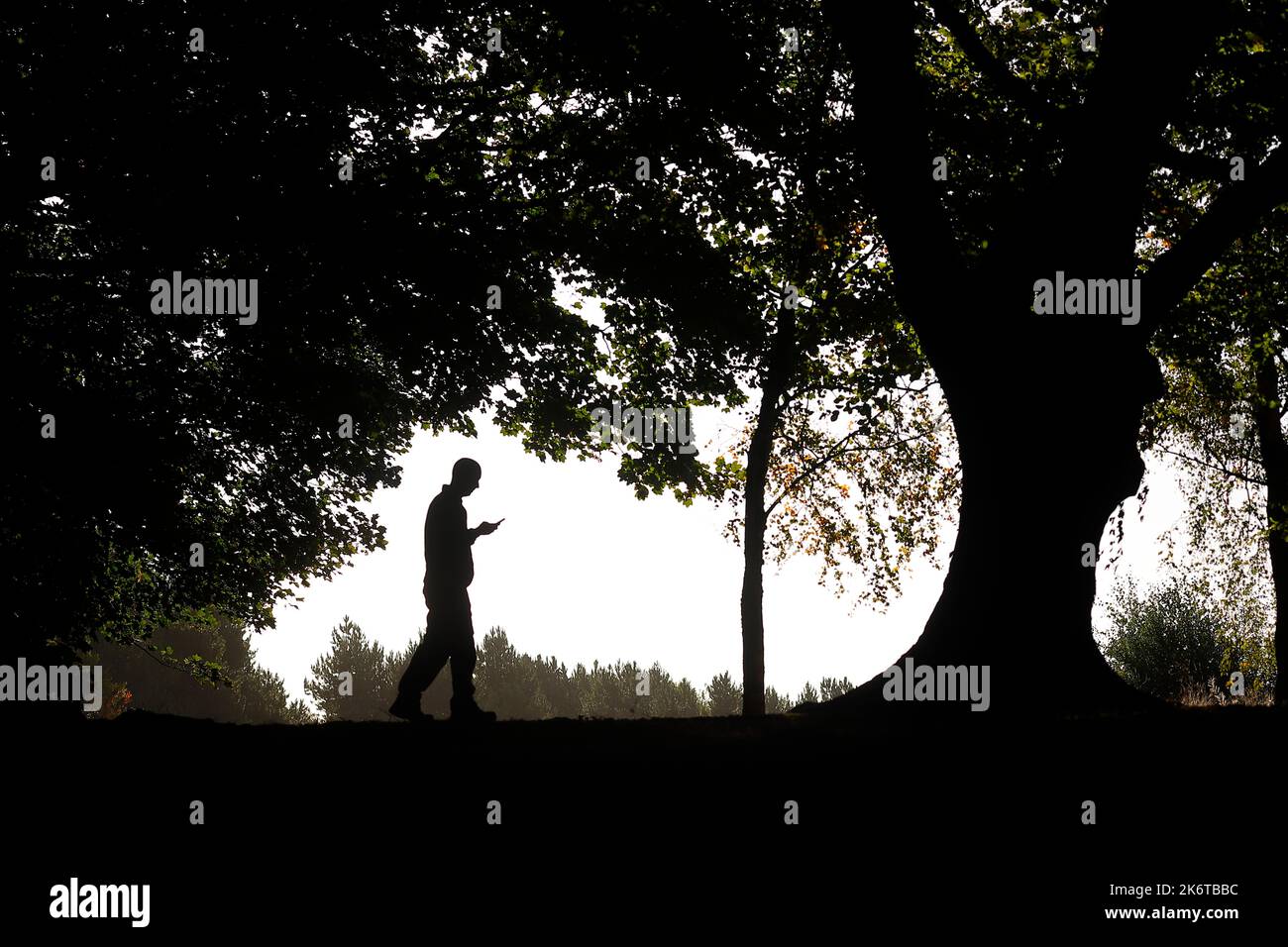 Phone zombie silhouette hi-res stock photography and images - Alamy