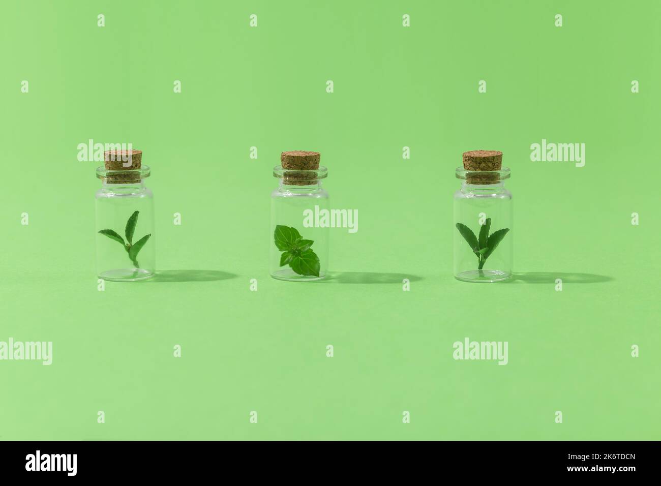 Organic, bio cosmetics healthy concept with natural plants in bottles ...