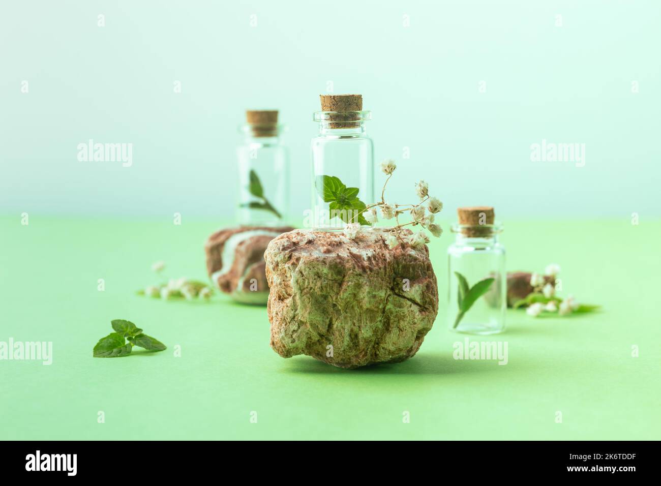 Organic, bio cosmetics healthy concept with natural plants in bottles ...