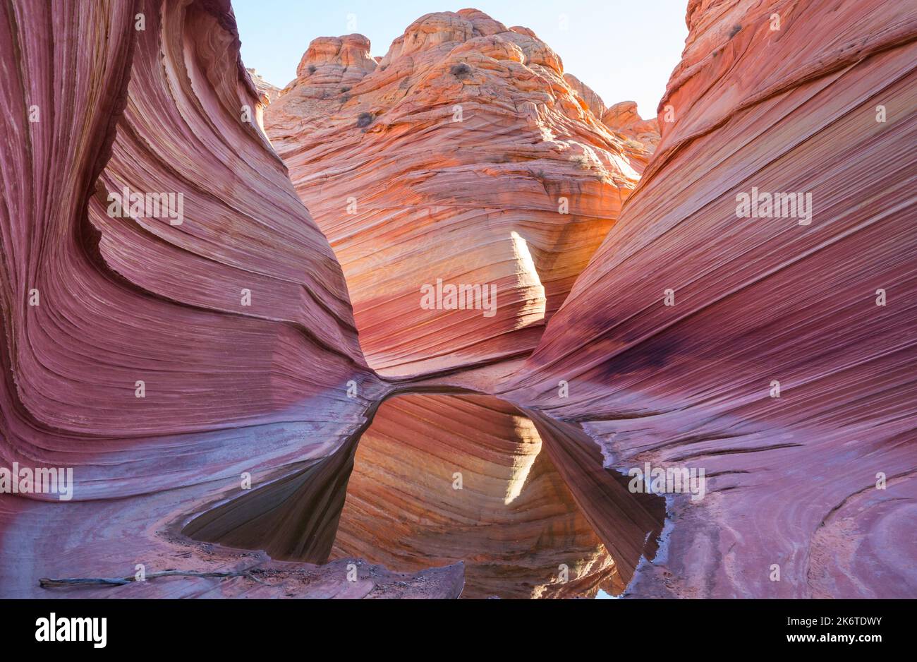 The Wave, Arizona, Vermillion Cliffs, Paria Canyon State Park in the ...