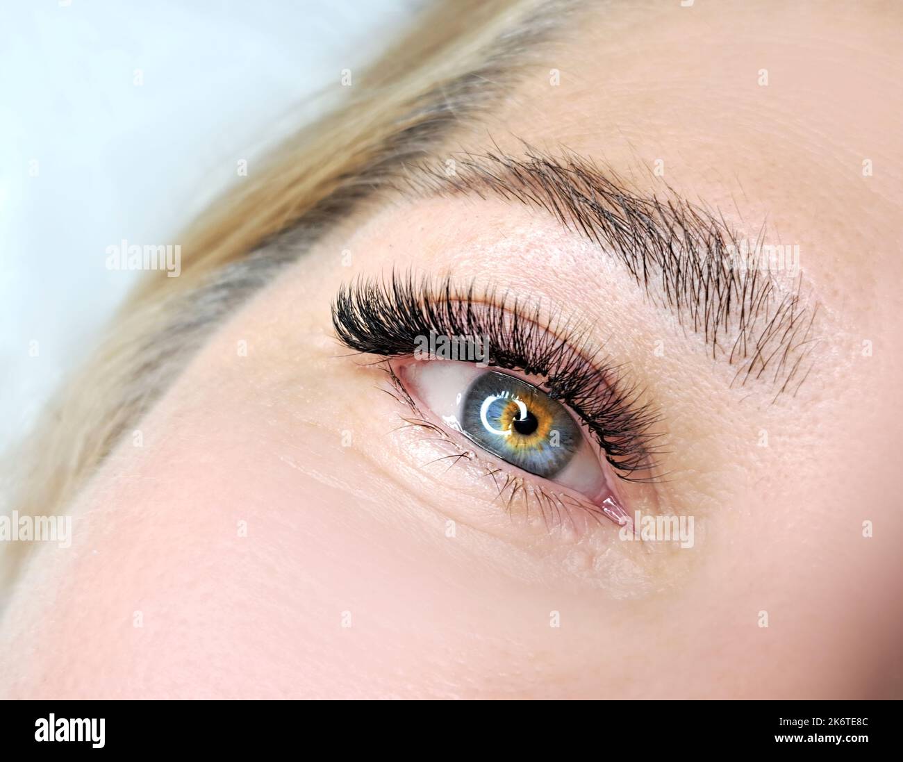 Salon booking hi-res stock photography and images - Alamy