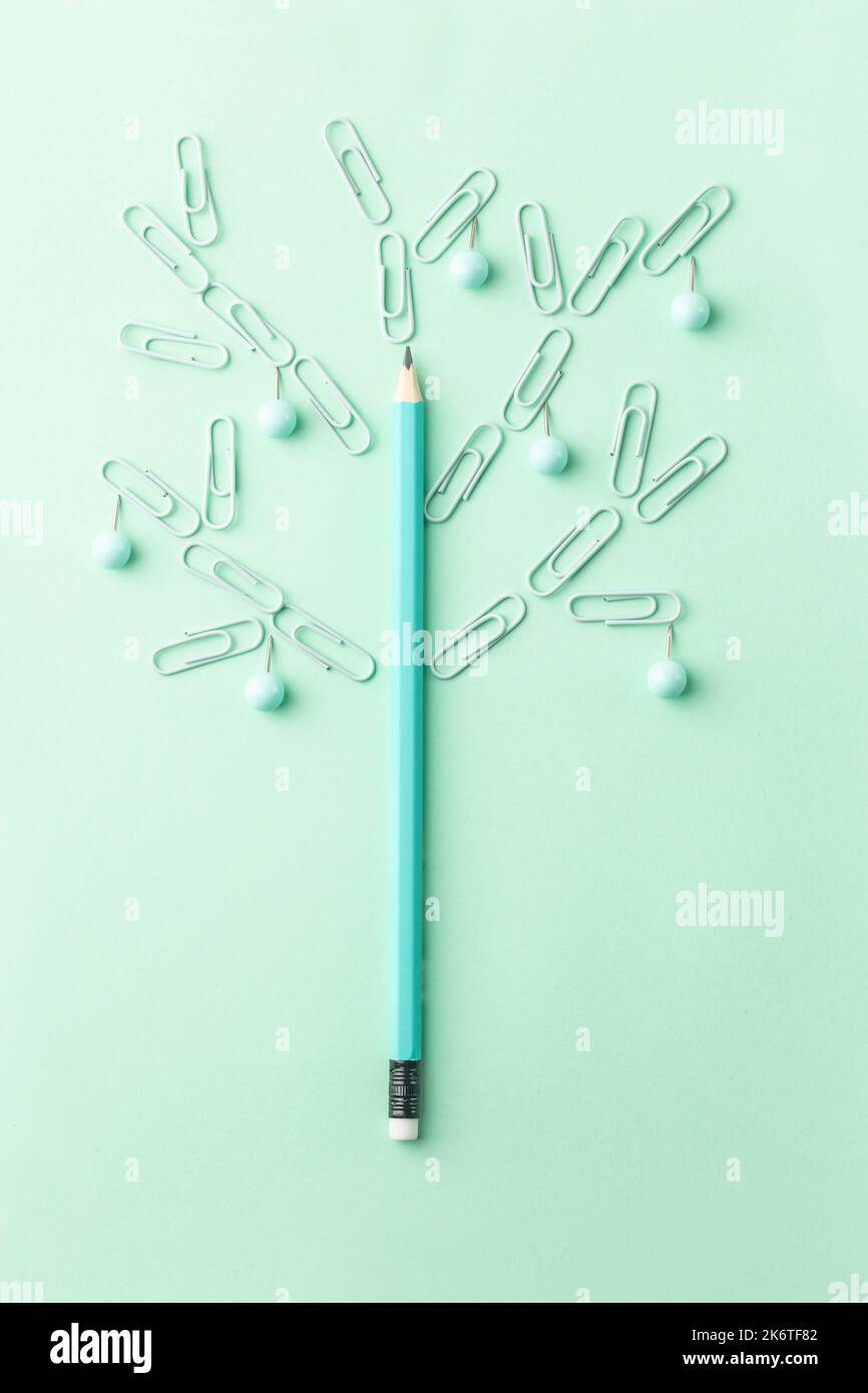 School stationery in turquoise color in form of tree, flat lay. Back to ...