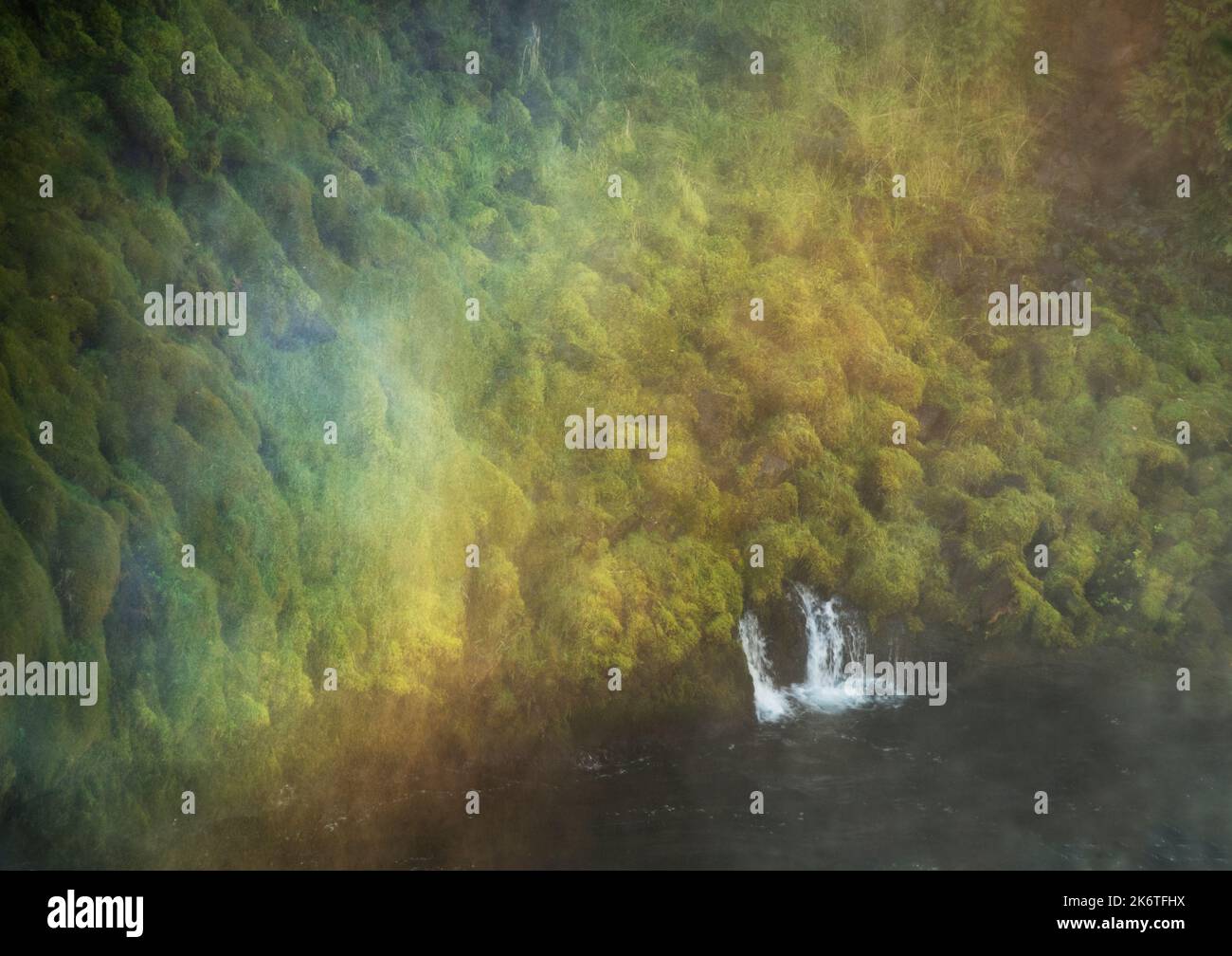 Mist from Koosah Falls, creates mossy wonderland, McKenzie River ...