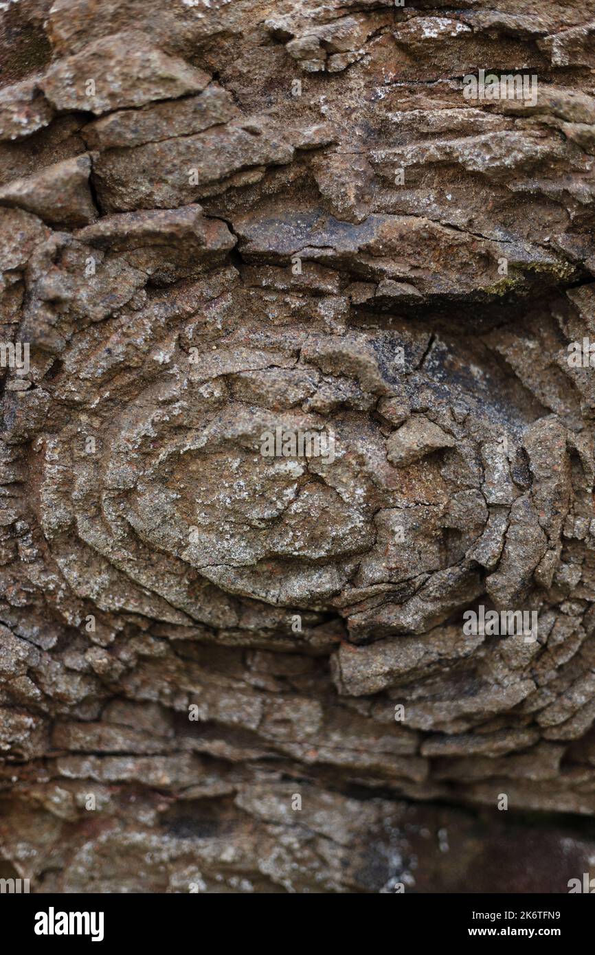 Spiral formation in a rock wall Stock Photo - Alamy