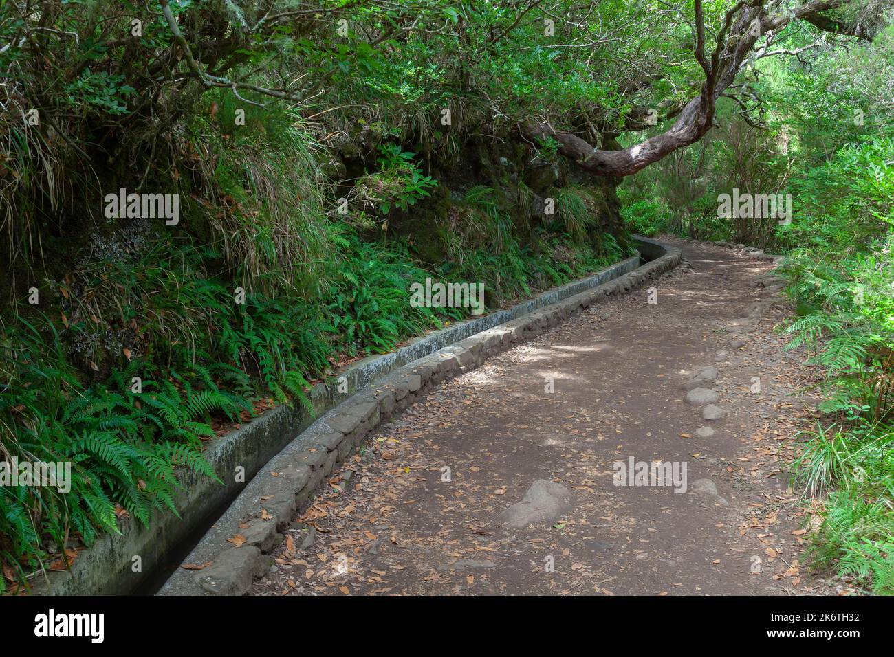 Rabacal, nature hiking area the Levada do Risco levada hiking trail ...