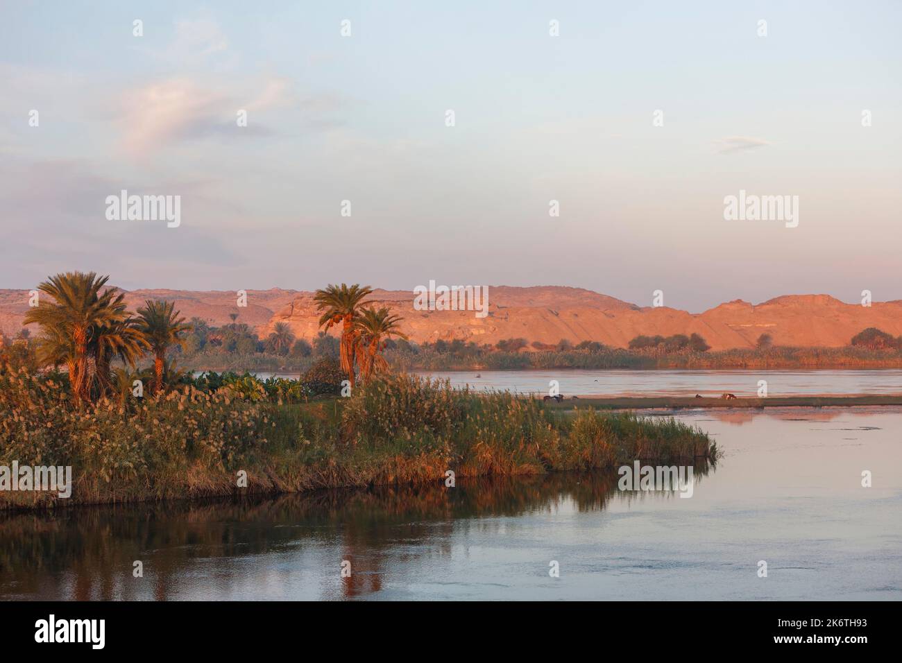 Small island in the Nile, sunrise, banks of the Nile, Nile, landscape ...