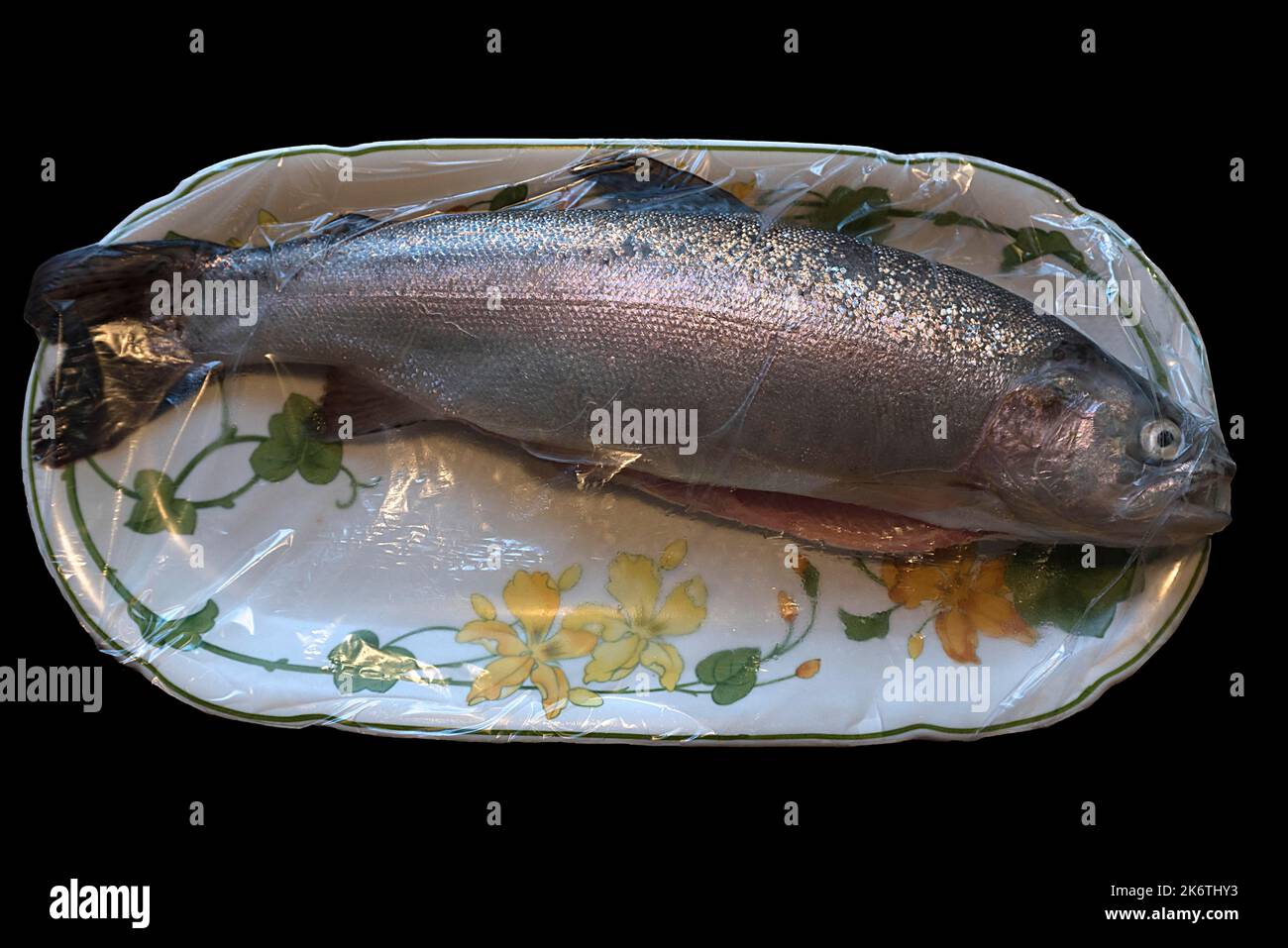 Food, Fresh trout on a plate wrapped in cellophane, on black background ...
