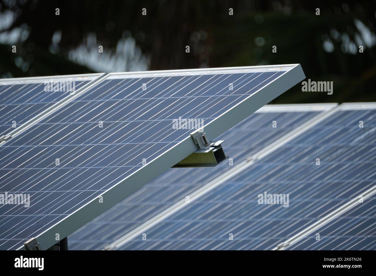 Solar photovoltaic panels mounted on stand-alone frame on backyard ...