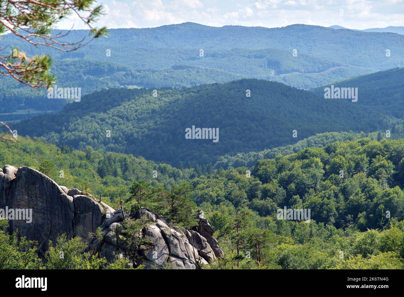 Summer mountains landscape with huge boulders among evergreen woods ...