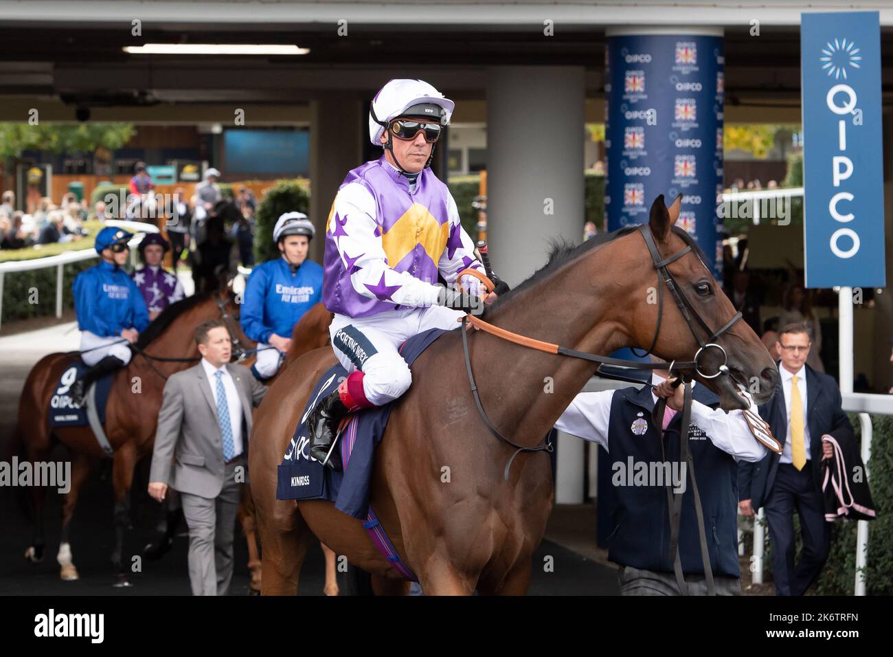 Kinross horse 2022 hi-res stock photography and images - Alamy