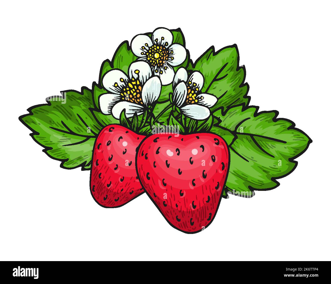 Strawberry Bunch Of Sweet Red Berries Whole Ripe Wild Forest Berry