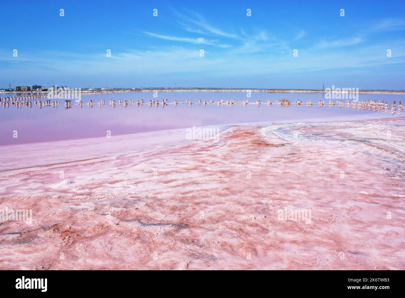 Natural pink salt lake hi-res stock photography and images - Alamy