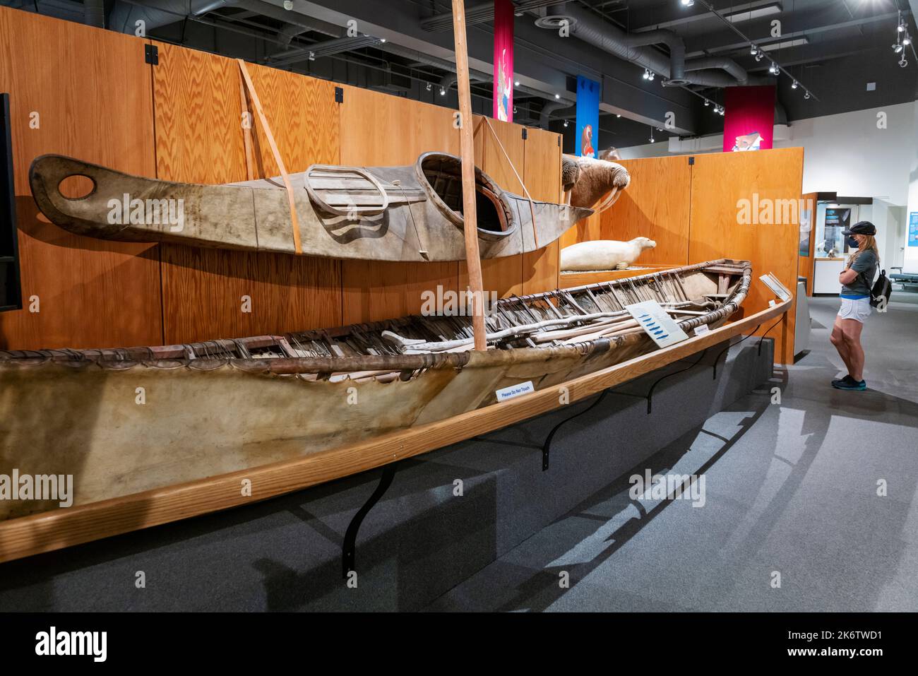 Historic aboriginal kayak; University of Alaska; Museum of the North ...