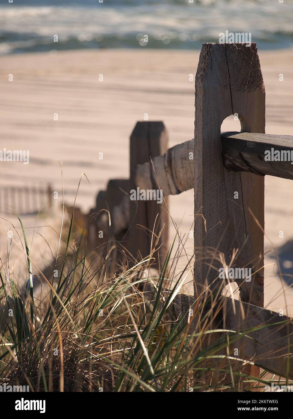 Wind faded fence post on a path to the beach over a sand dune Stock ...