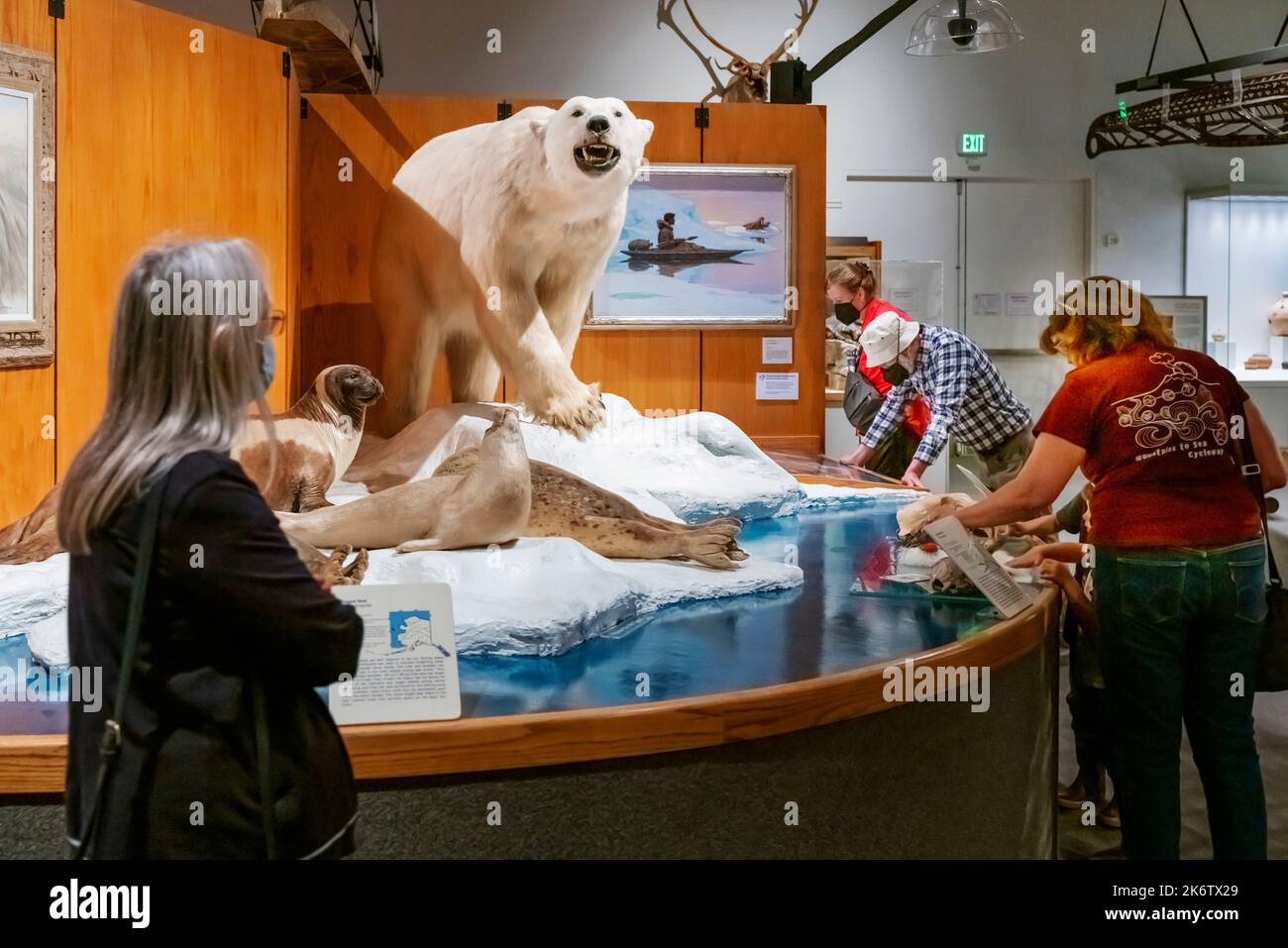 Large stuffed Polar Bear; University of Alaska; Museum of the North ...
