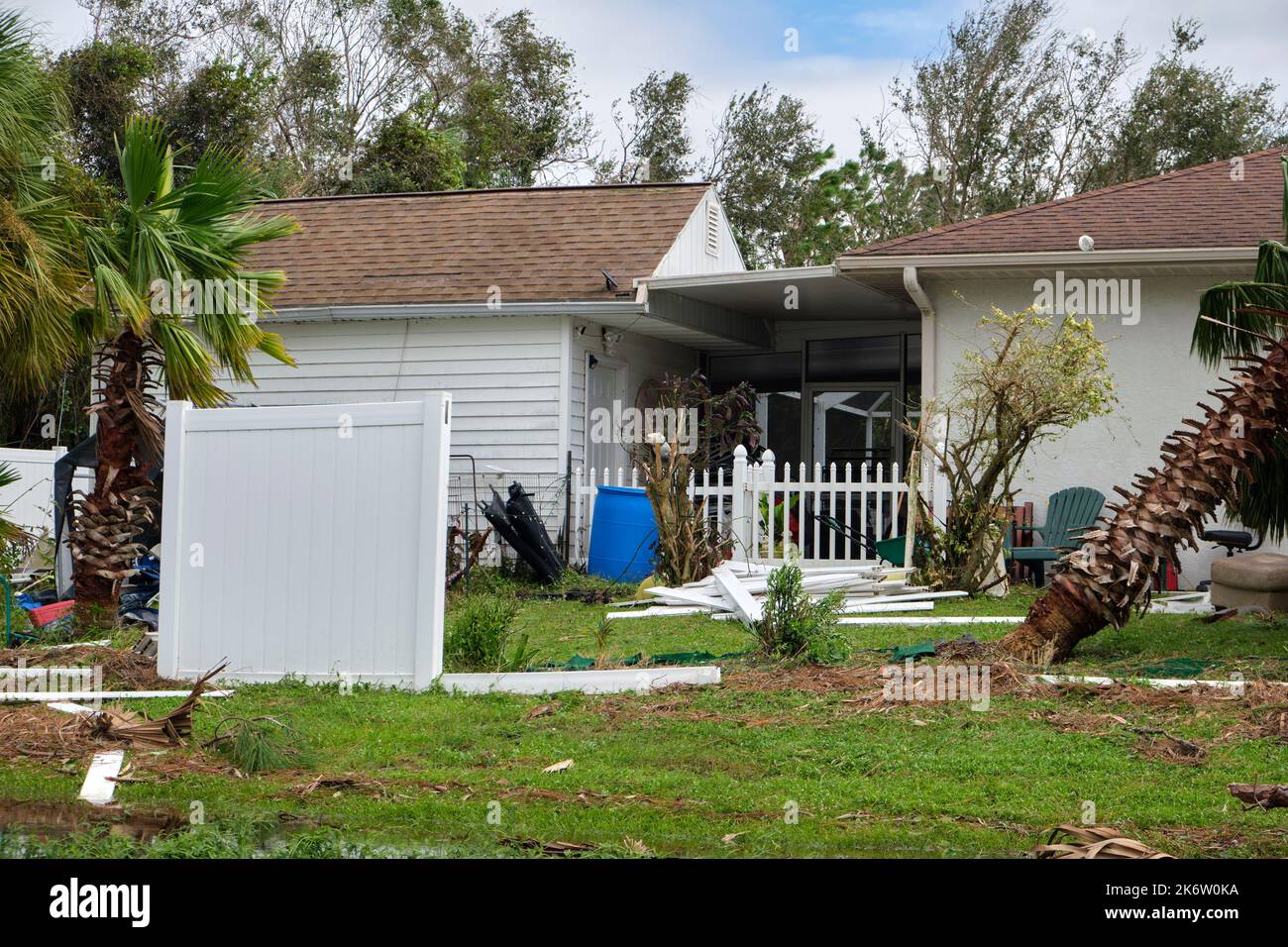Fallen down big tree caused damage of yard fence after hurricane Ian in ...