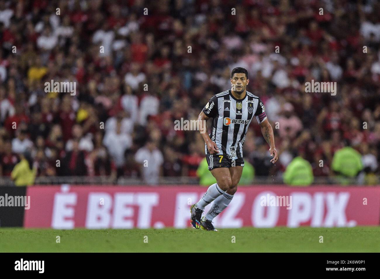 Rio De Janeiro, Brazil. 15th Oct, 2022. RJ - Rio de Janeiro - 10/15 ...