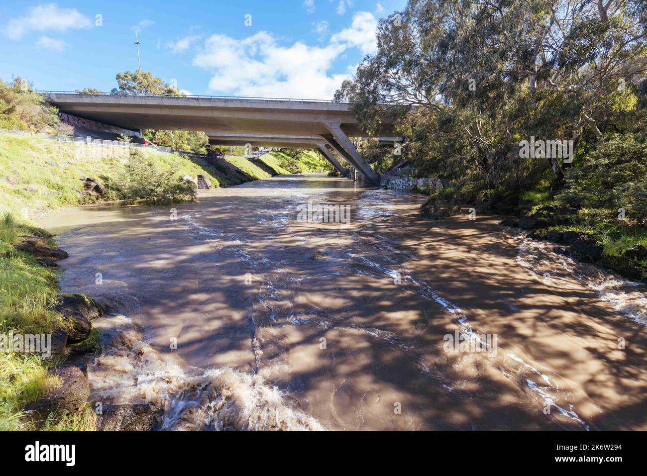 Melbourne, Victoria, Australia. 14th Oct, 2022. MELBOURNE, AUSTRALIA ...