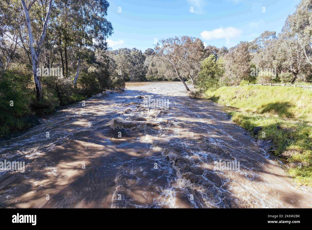 Melbourne, Victoria, Australia. 14th Oct, 2022. MELBOURNE, AUSTRALIA ...