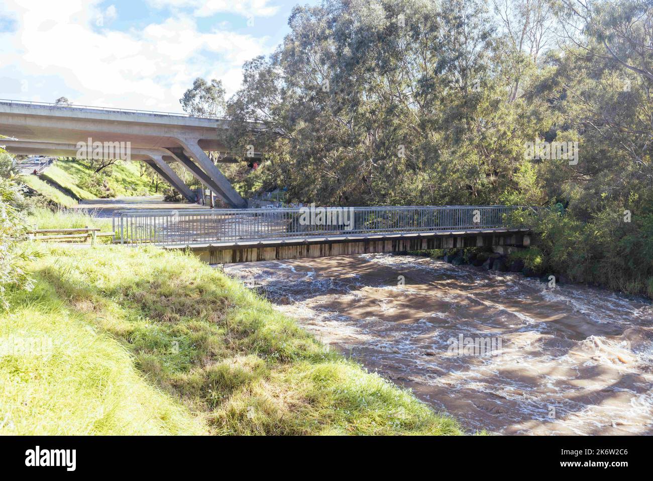 Melbourne, Victoria, Australia. 14th Oct, 2022. MELBOURNE, AUSTRALIA ...