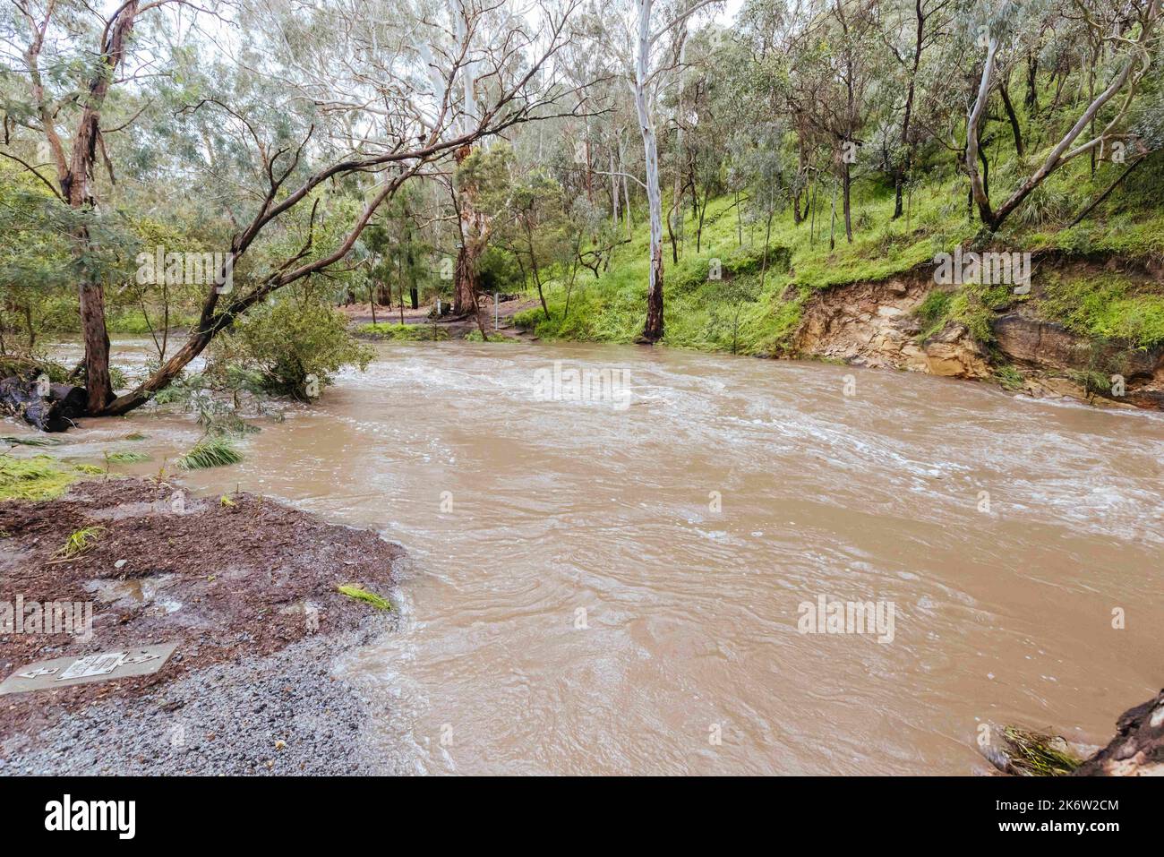 Melbourne, Victoria, Australia. 14th Oct, 2022. MELBOURNE, AUSTRALIA ...