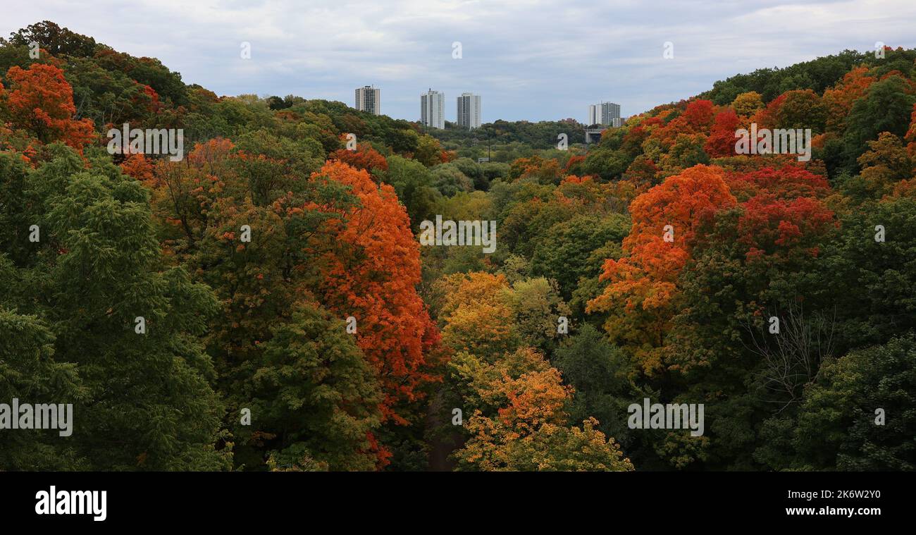 Fall outlook with brightly orange and red trees in an urban valley ...