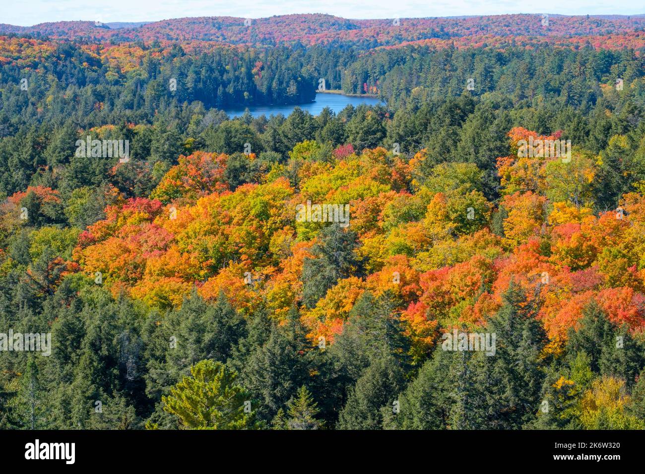 Fall in Canada - red, yellow and green trees in Algonquin park Stock ...