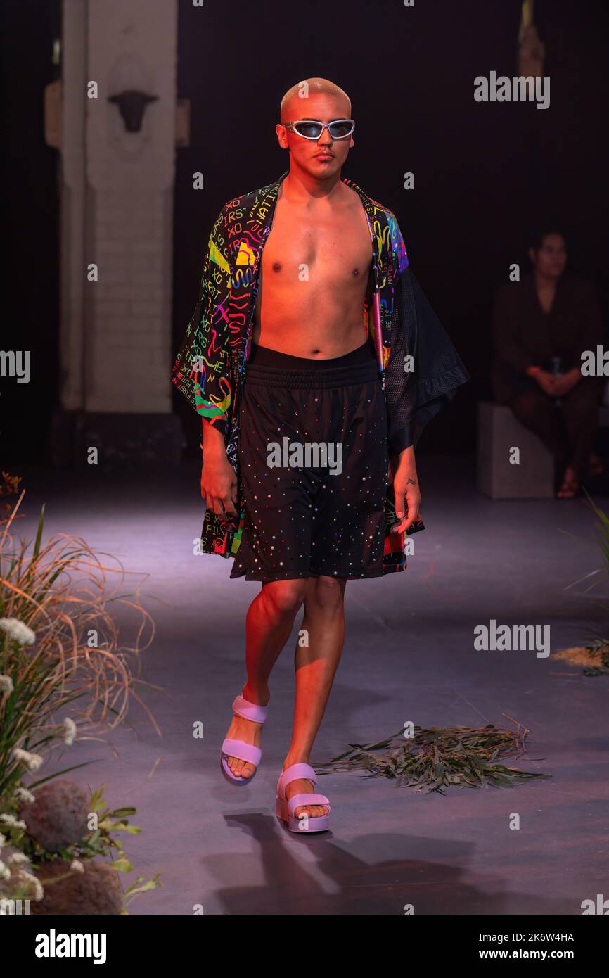 Melbourne, Australia. 15th Oct, 2022. A model dressed in a design by ...