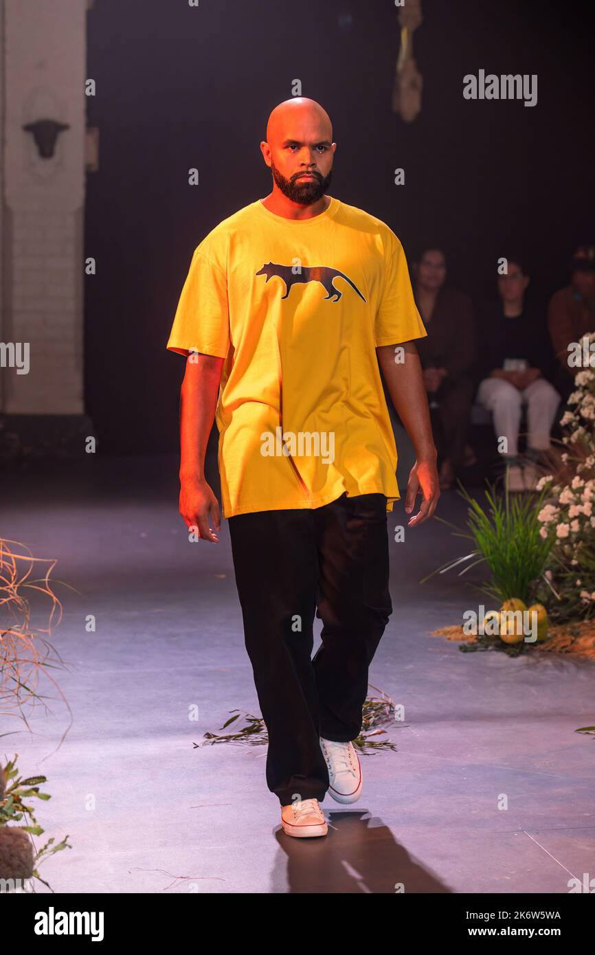 Melbourne, Australia. 15th Oct, 2022. A model dressed in a design by ...