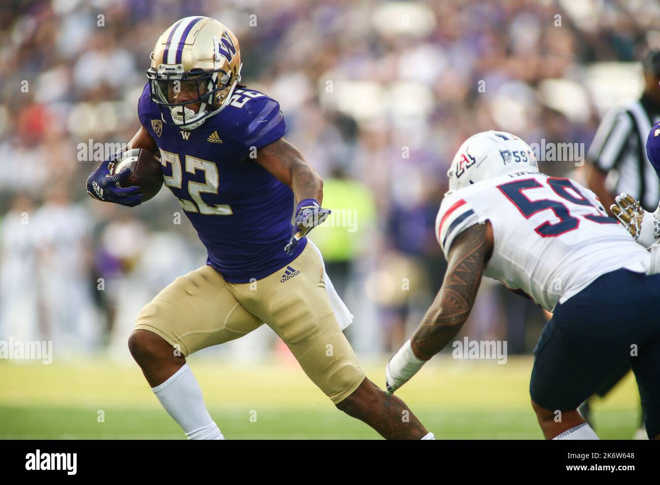 20221015 340 hi-res stock photography and images - Alamy