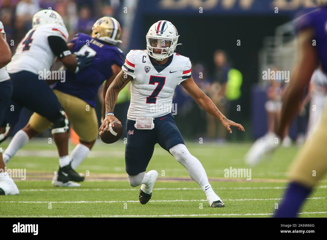 Seattle, WA, USA. 15th Oct, 2022. Arizona Wildcats quarterback Jayden ...