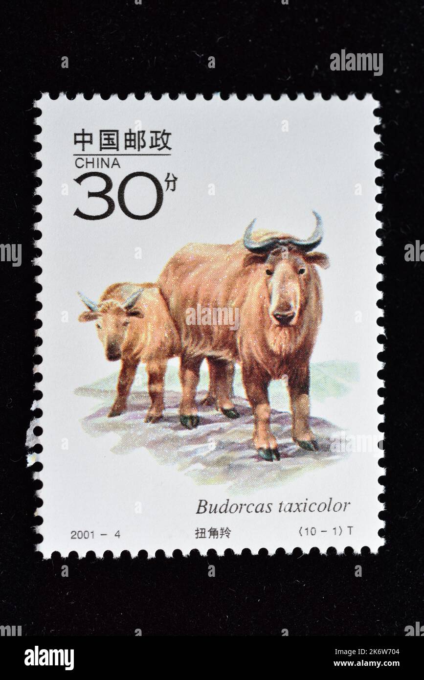 CHINA - CIRCA 2001: A stamp printed in China shows 2001-4, Scott 3091 ...