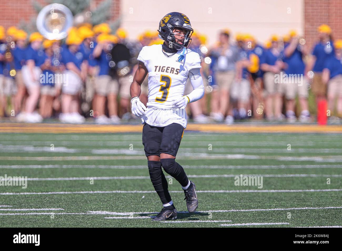 2022 0647 jpg hi-res stock photography and images - Alamy