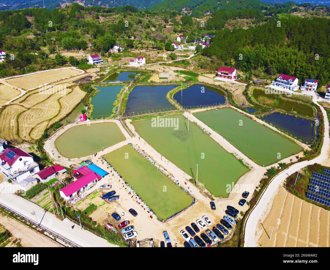 ANQING, CHINA - OCTOBER 16, 2022 - Tourists fish at a breeding base in ...