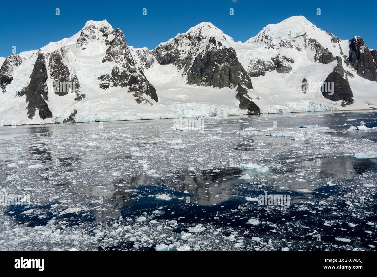 brash ice floating on waters of northern approach to lemaire channel ...