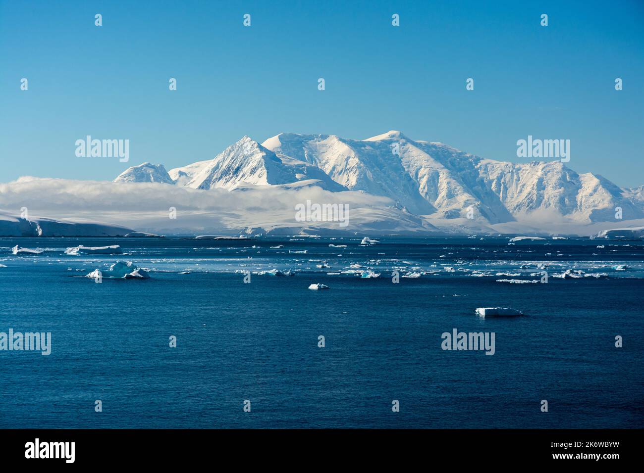 icebergs in bismarck strait with anvers island in the background. mt ...