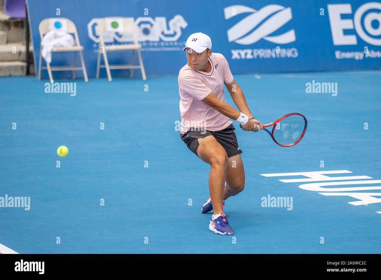 Zhuoxuan bai hi-res stock photography and images - Alamy