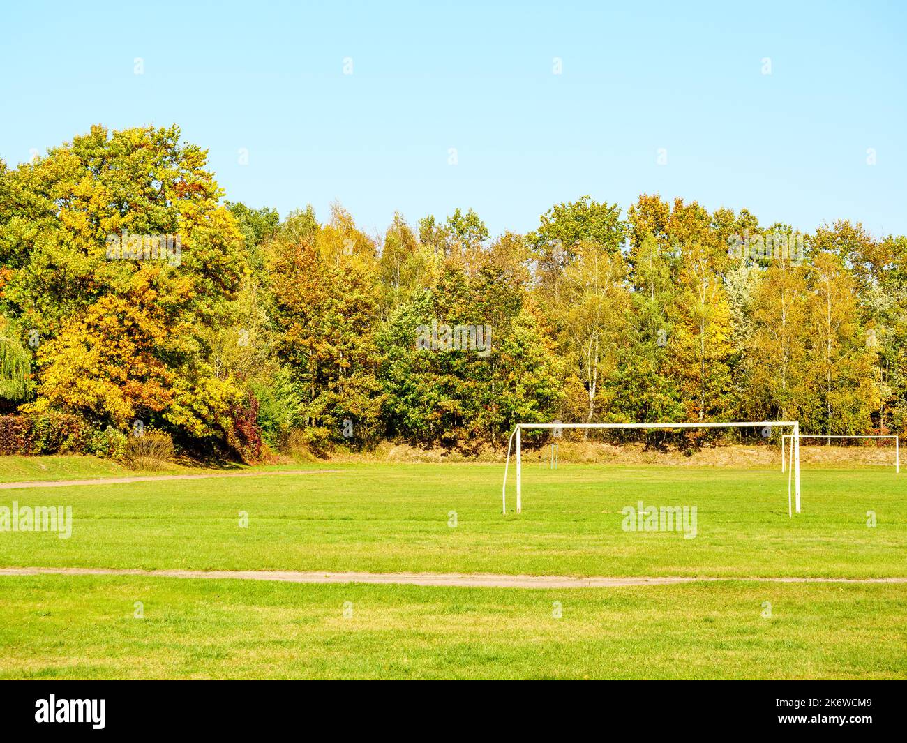 Soccer field in an autumn training park surrounded by trees Stock Photo ...