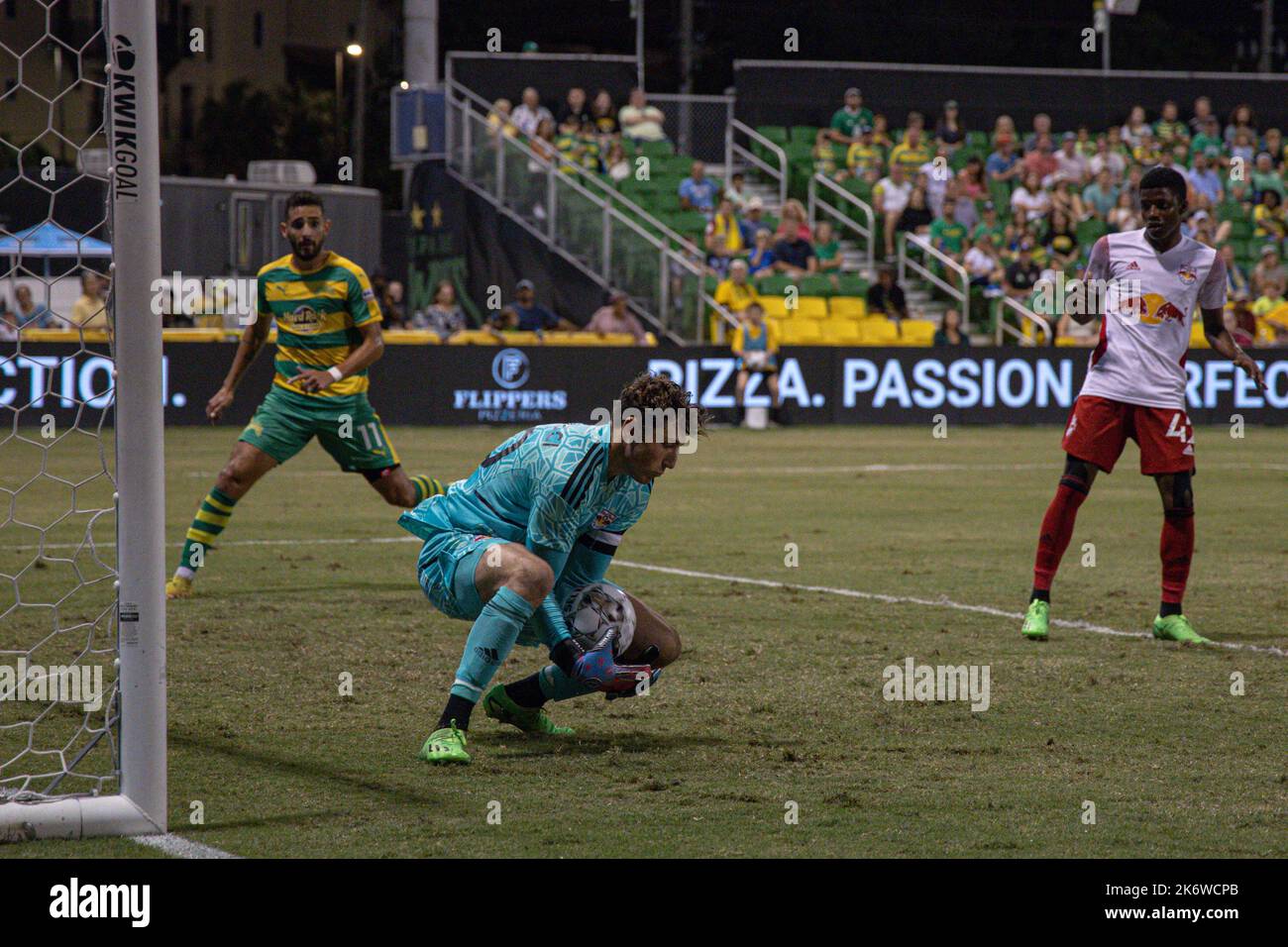 Red bulls ll hi-res stock photography and images - Alamy