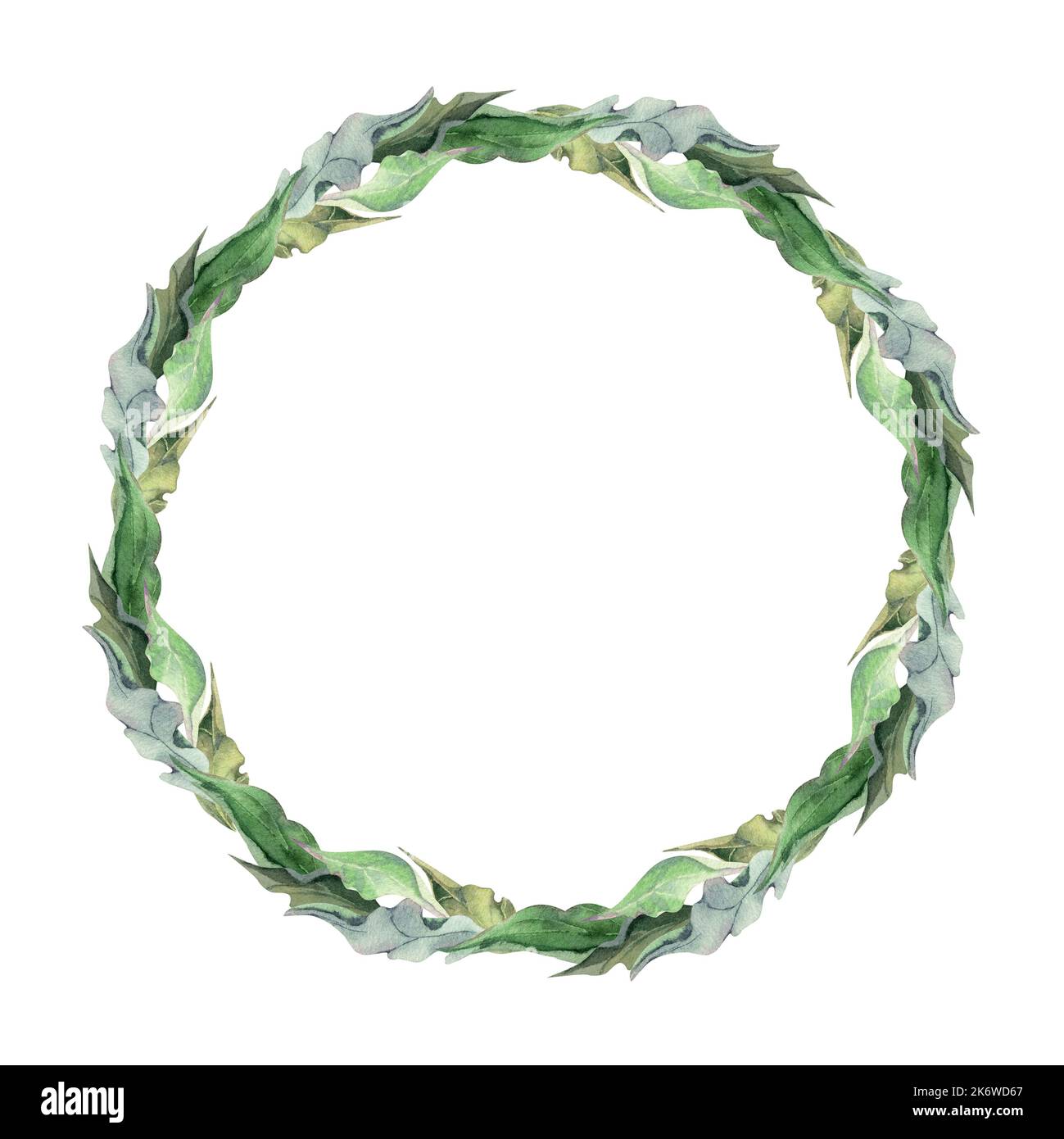 Watercolor circle frame arrangement with hand drawn delicate pink peony ...