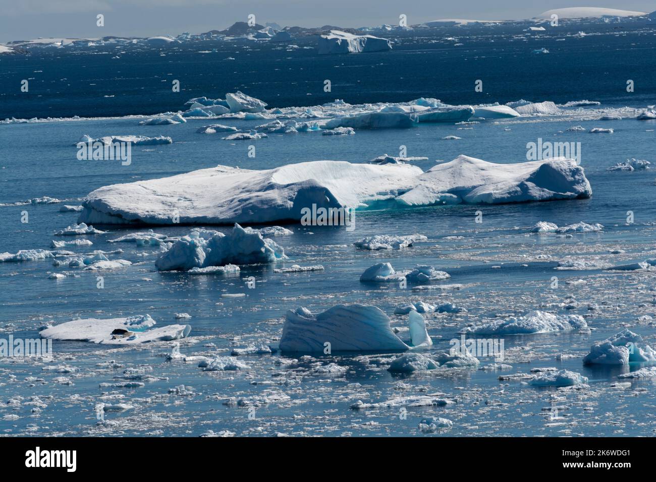 sea ice, icebergs and islands. looking west from northern end of ...