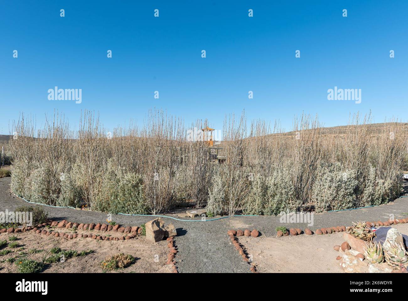 SUTHERLAND, SOUTH AFRICA - SEP 3, 2022: Labyrinth at Sterland Caravan ...