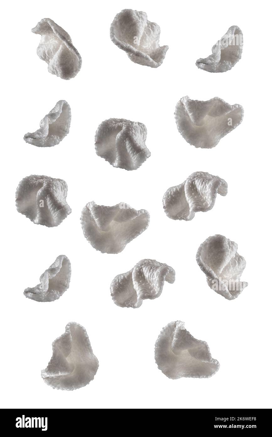 falling rice chips. flying rice chips on a white background. Isolate ...